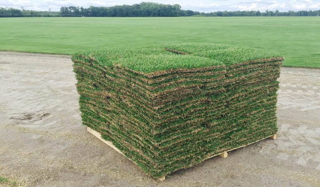 General Sod Installation – Green Landscape Supply Blog